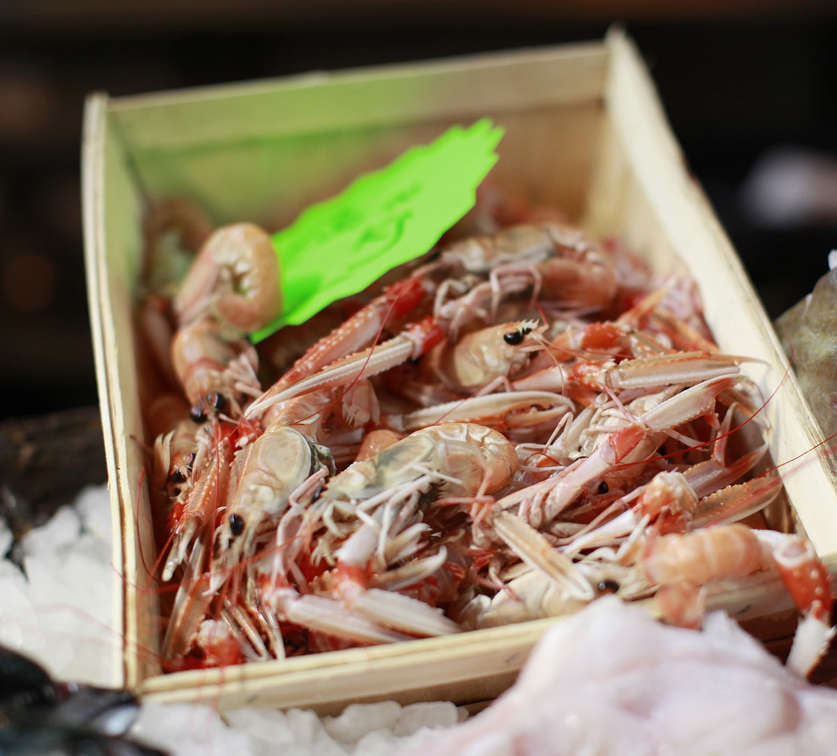 She sells sea shells | Borough Market
