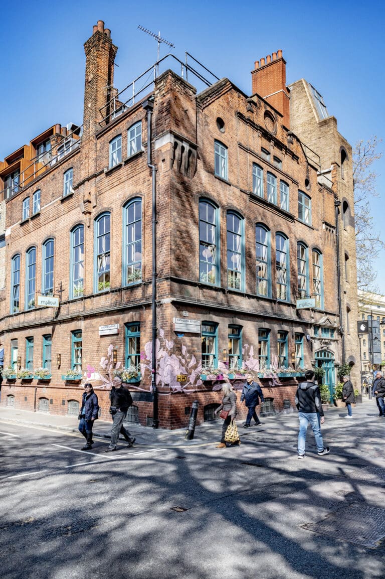 Mallow | Borough Market