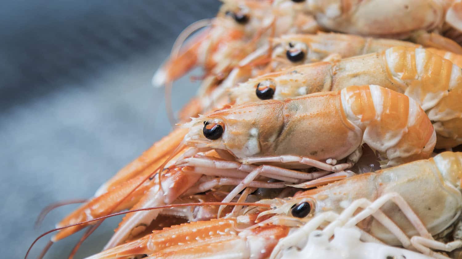 Five crustaceans | Borough Market