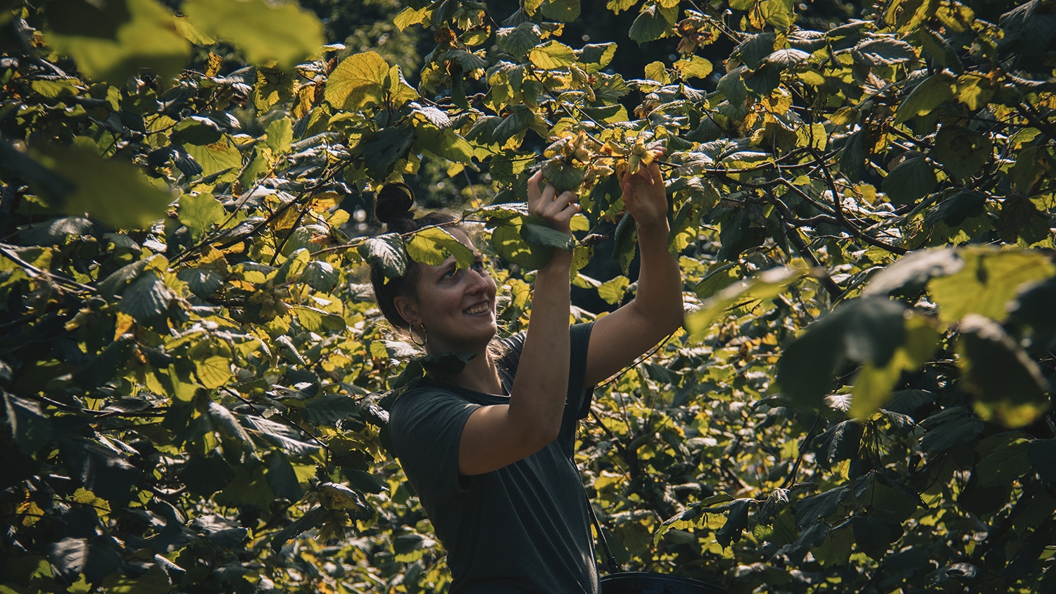 Nuts in September | Borough Market